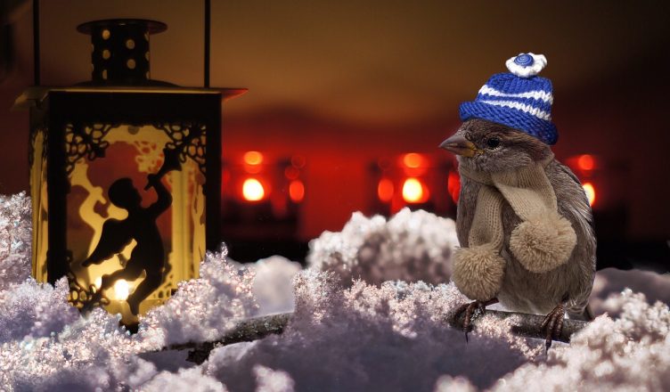 Guía para calentarse de manera sostenible este invierno - Reducir Plástico
